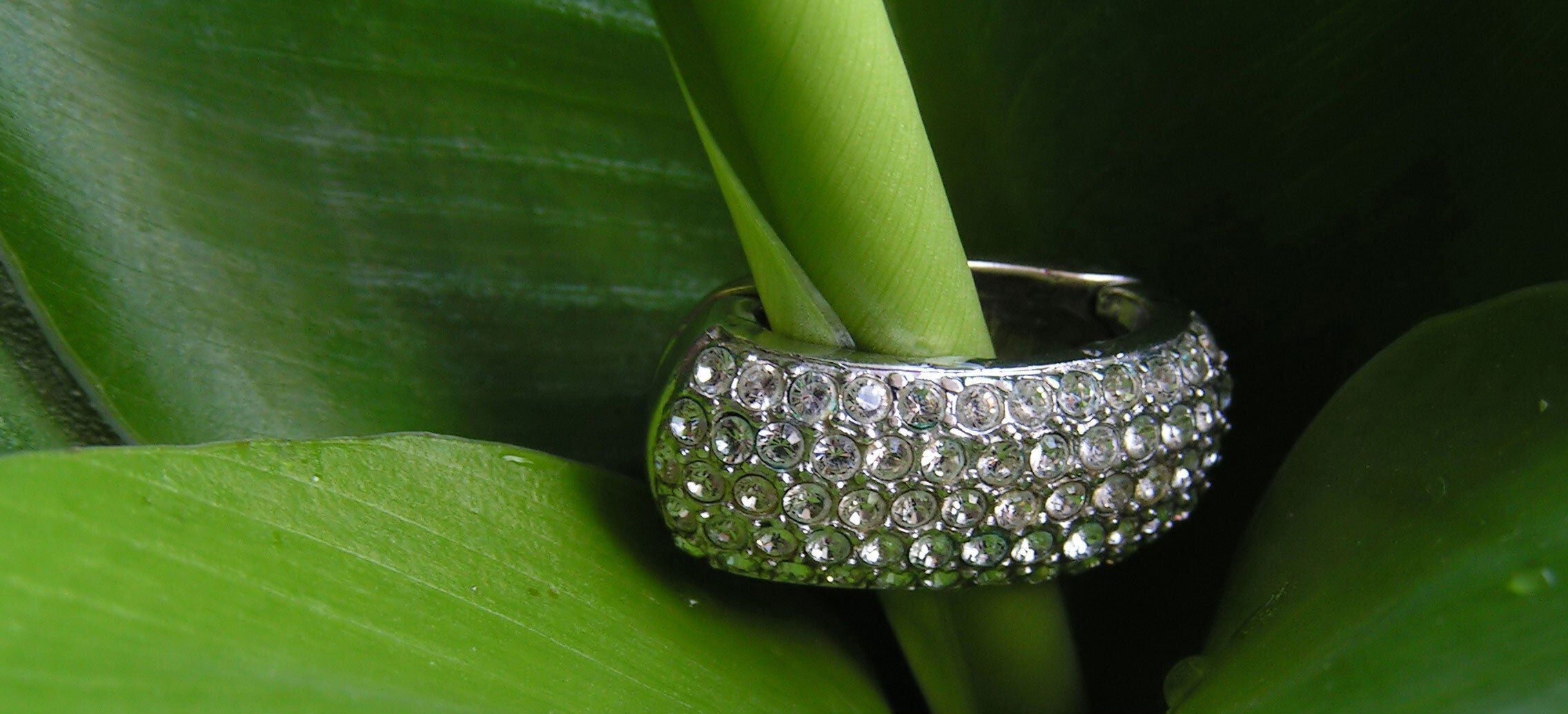 Shop High CRI Jewelry Lighting – Light For Jewelry